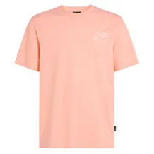 O'NEILL BOX LOGO Ανδρική Μπλούζα T-shirt - Sportistas