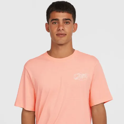 O'NEILL BOX LOGO Ανδρική Μπλούζα T-shirt - Sportistas